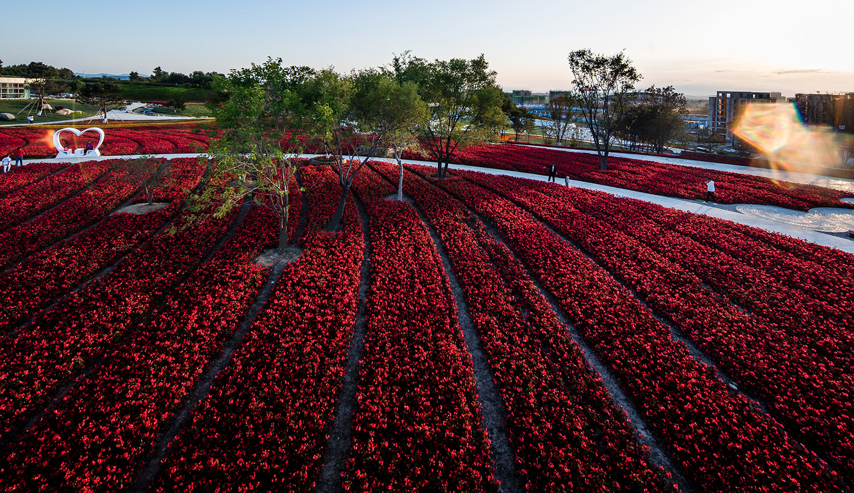 Meihekou Romantic Flower Sea Park, Jilin, China by MILAND DESIGN - 谷德设计网