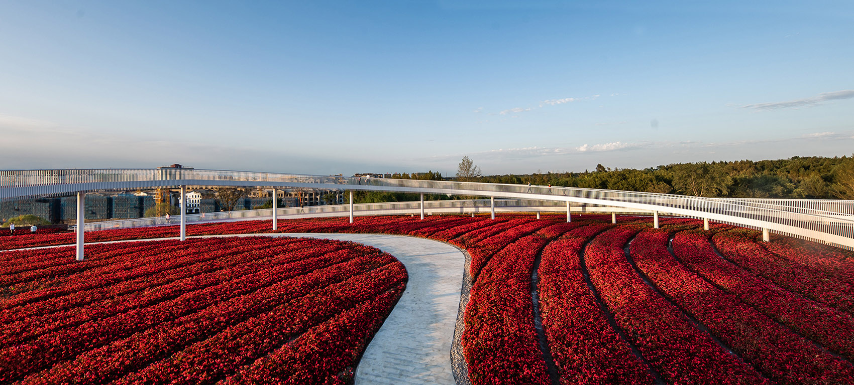 Meihekou Romantic Flower Sea Park, Jilin, China by MILAND DESIGN - 谷德设计网