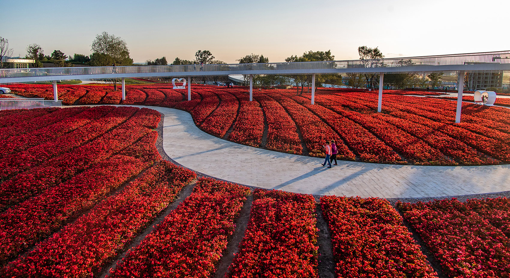 Meihekou Romantic Flower Sea Park, Jilin, China by MILAND DESIGN - 谷德设计网