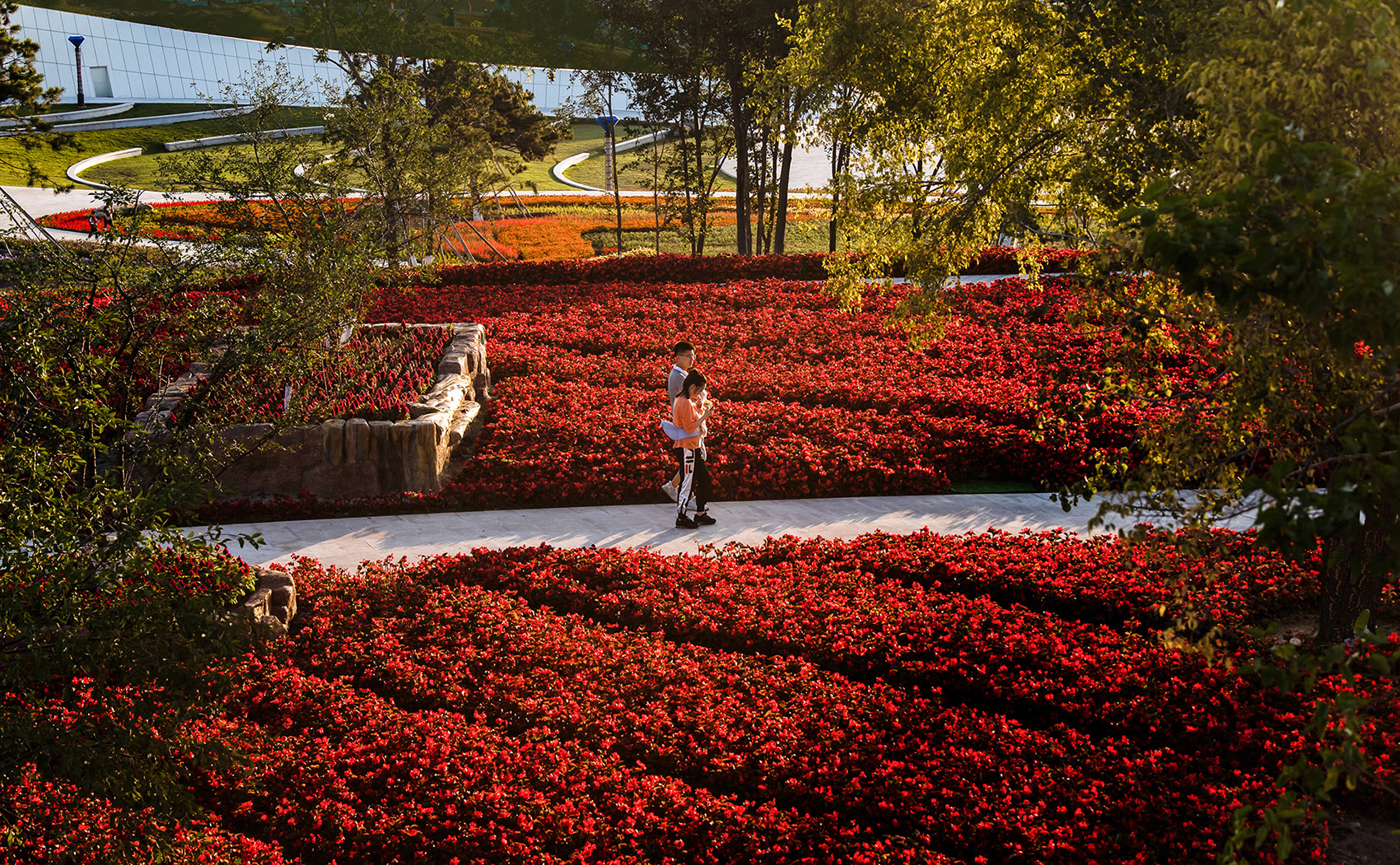 Meihekou Romantic Flower Sea Park, Jilin, China by MILAND DESIGN - 谷德设计网