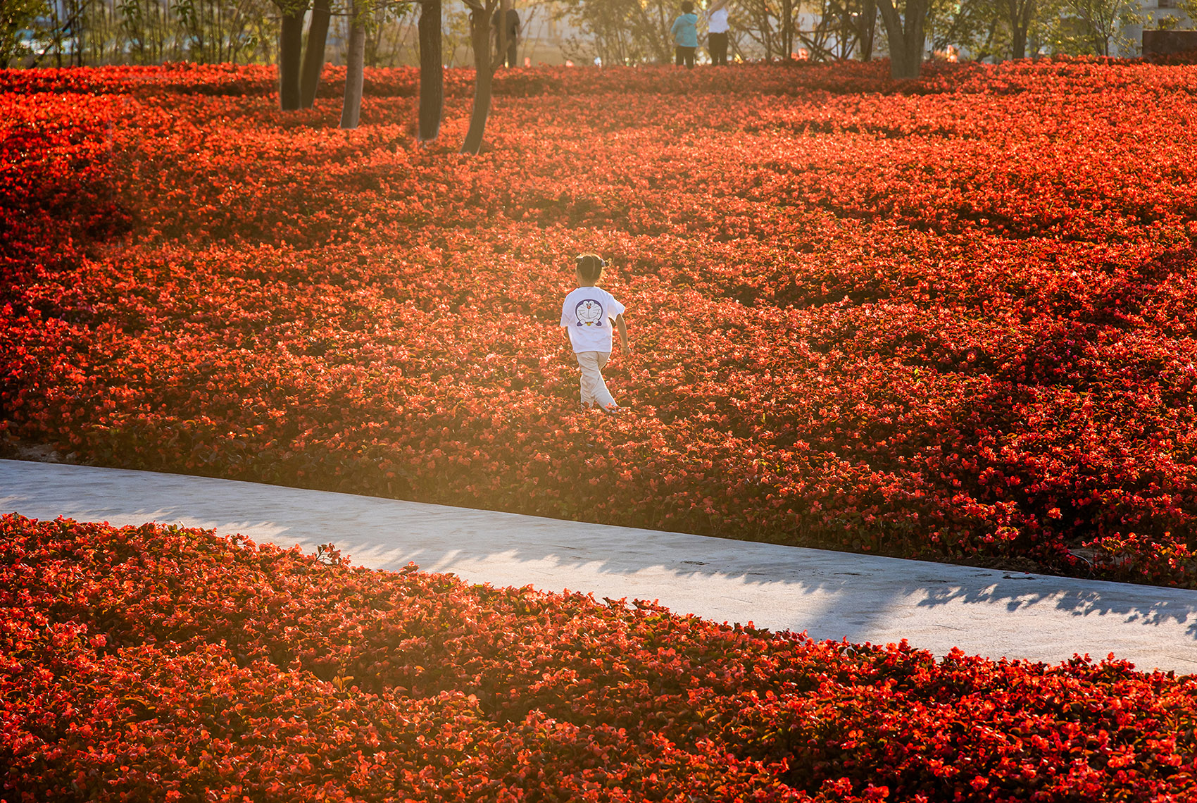 Meihekou Romantic Flower Sea Park, Jilin, China by MILAND DESIGN - 谷德设计网