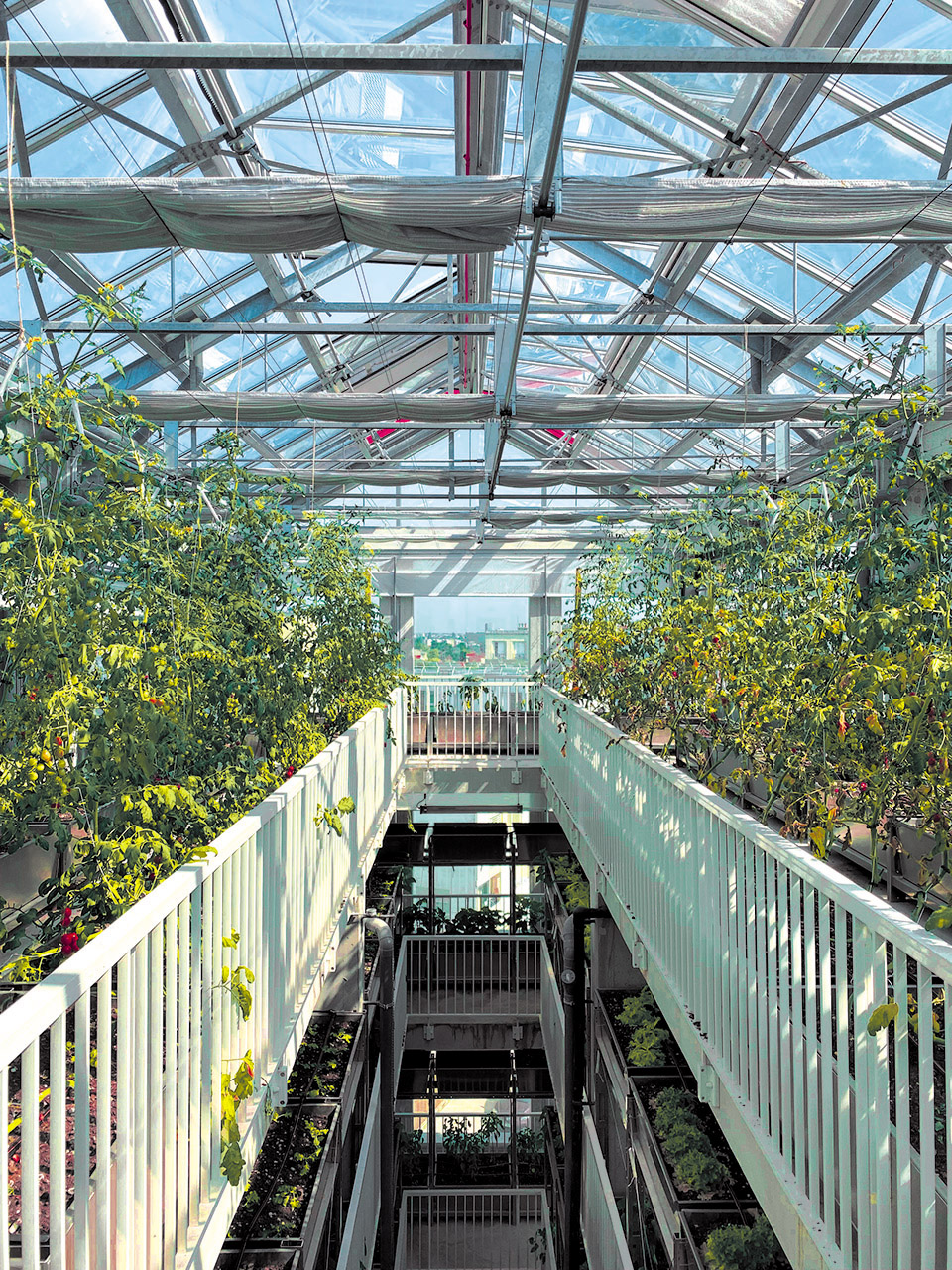 Romainville’s vertical farm by ilimelgo + atelier secousses associates ...