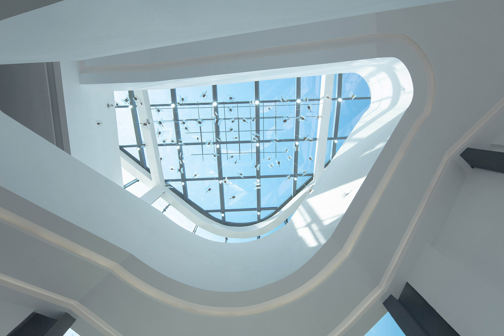 Zhou Yao Insect Museum in Ningbo by DDB Architects Shanghai+Sitarch Lab ...