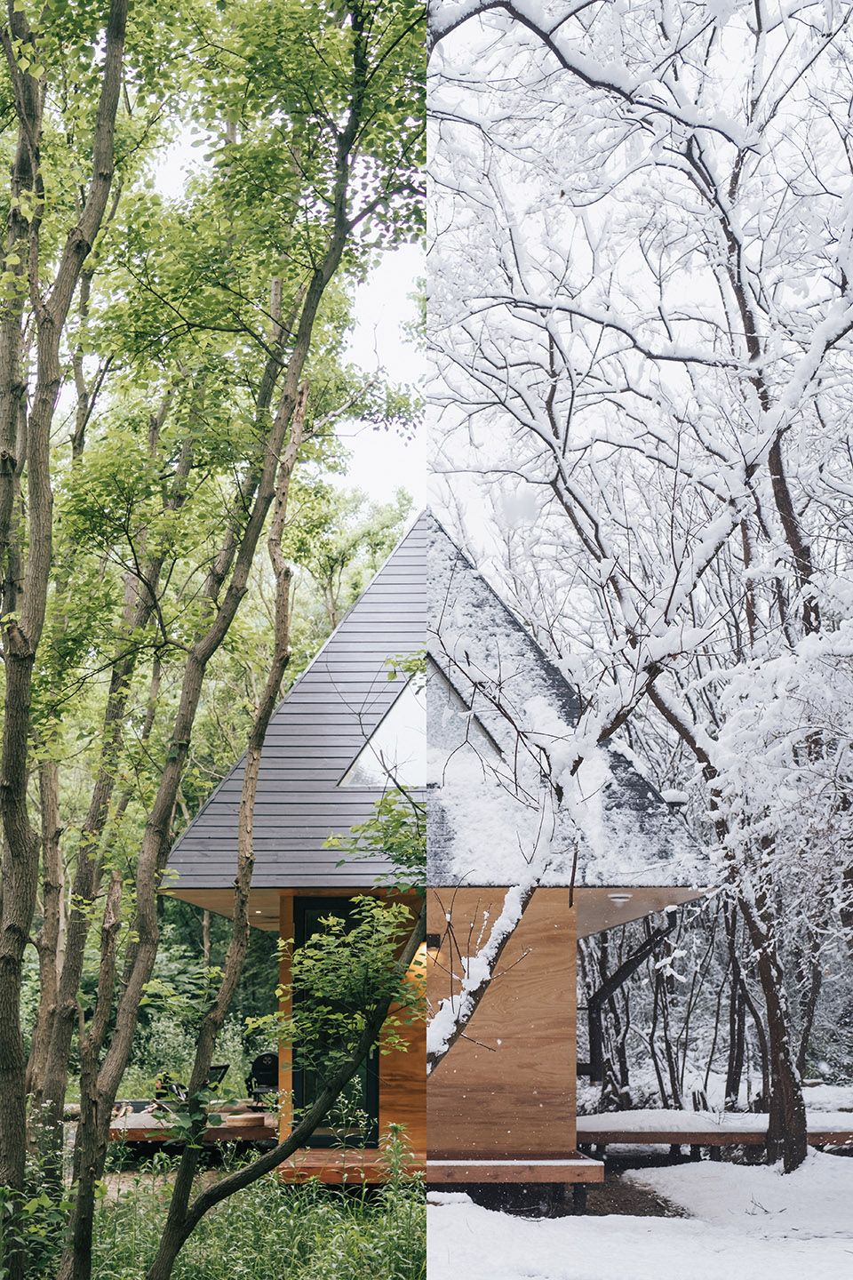 Wild Home – The Ark Cabin, Wuhan, China by Wiki World & Advanced ...