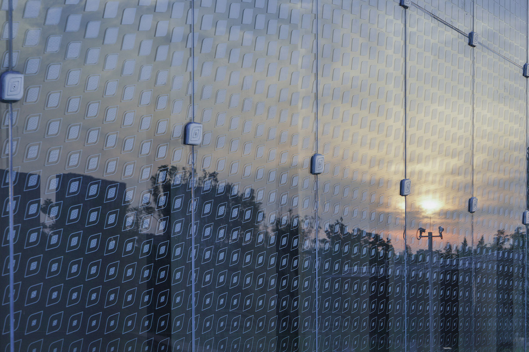 Zhou Yao Insect Museum in Ningbo by DDB Architects Shanghai+Sitarch Lab ...