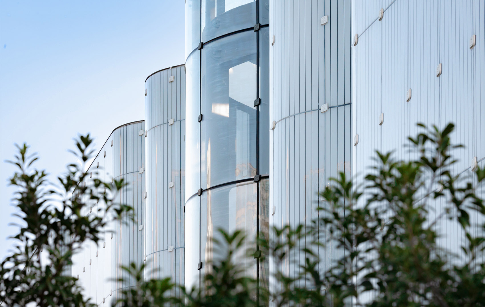 Zhou Yao Insect Museum in Ningbo by DDB Architects Shanghai+Sitarch Lab ...