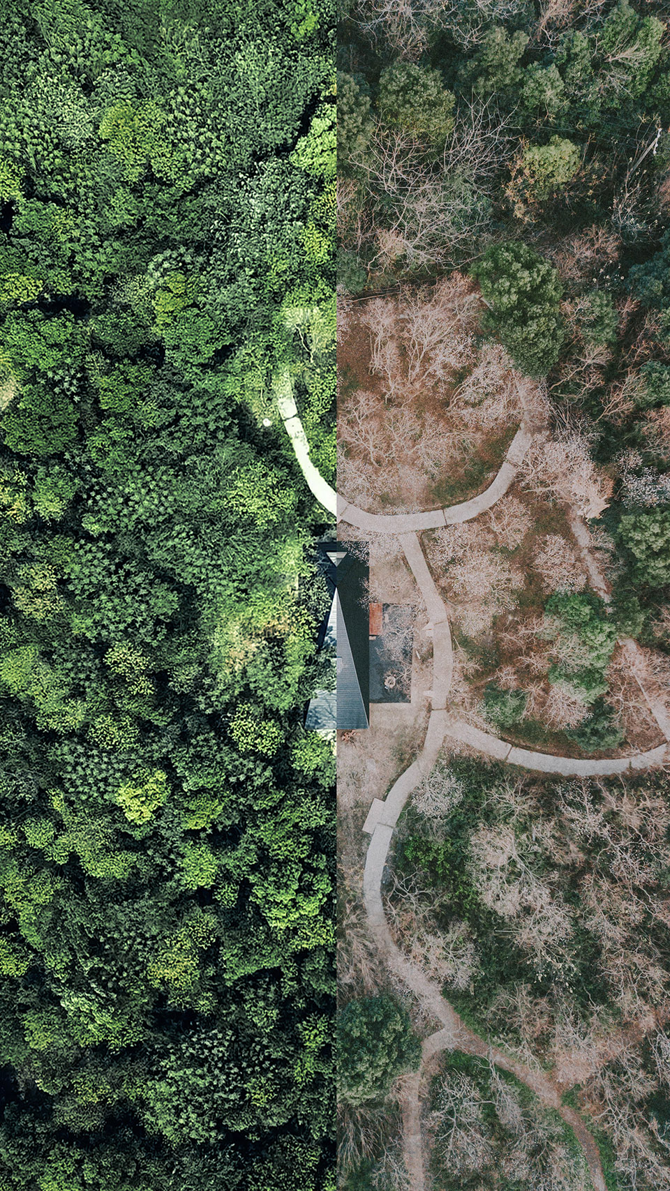 Wild Home – The Ark Cabin, Wuhan, China by Wiki World & Advanced ...
