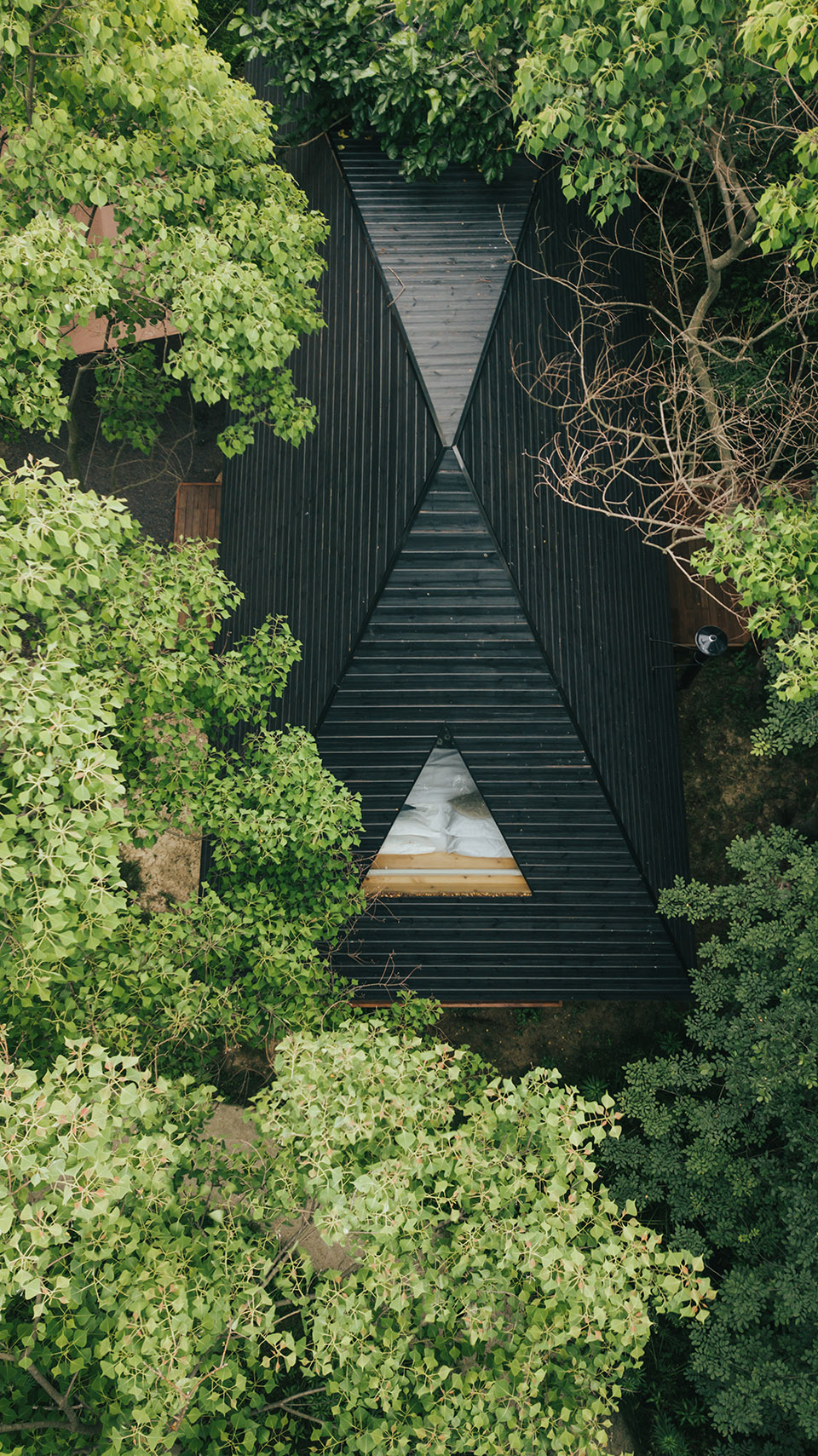 Wild Home – The Ark Cabin, Wuhan, China by Wiki World & Advanced ...