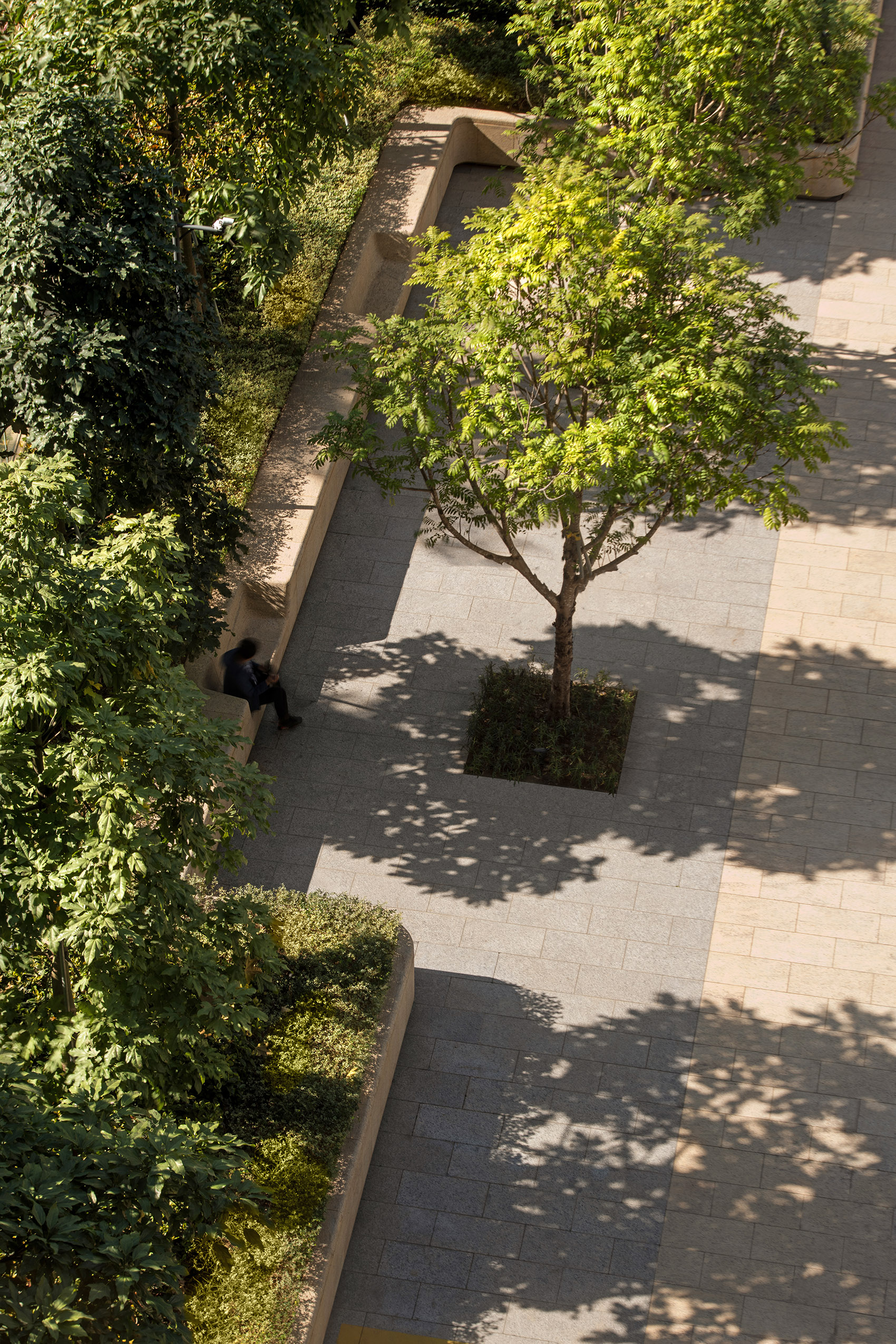 Hony Tower Landscape Design, Shenzhen by ASPECT Studios - 谷德设计网