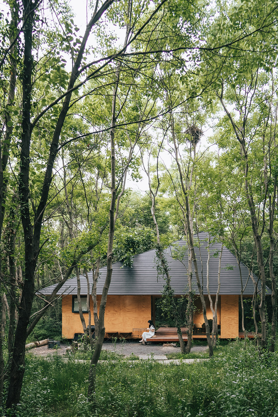 Wild Home – The Ark Cabin, Wuhan, China by Wiki World & Advanced ...