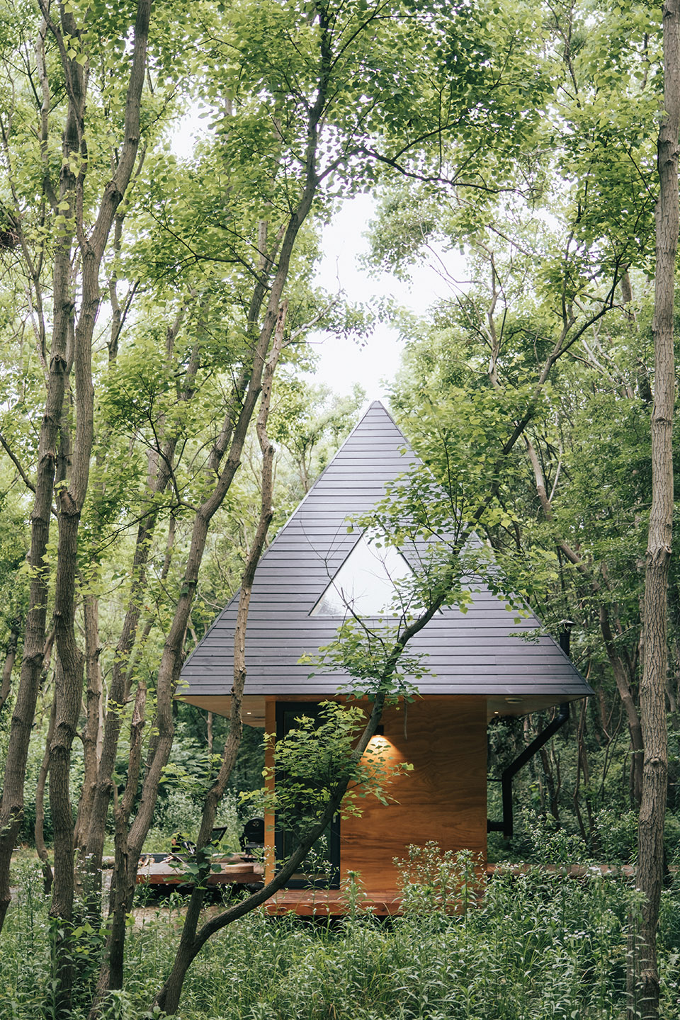 Wild Home – The Ark Cabin, Wuhan, China by Wiki World & Advanced ...