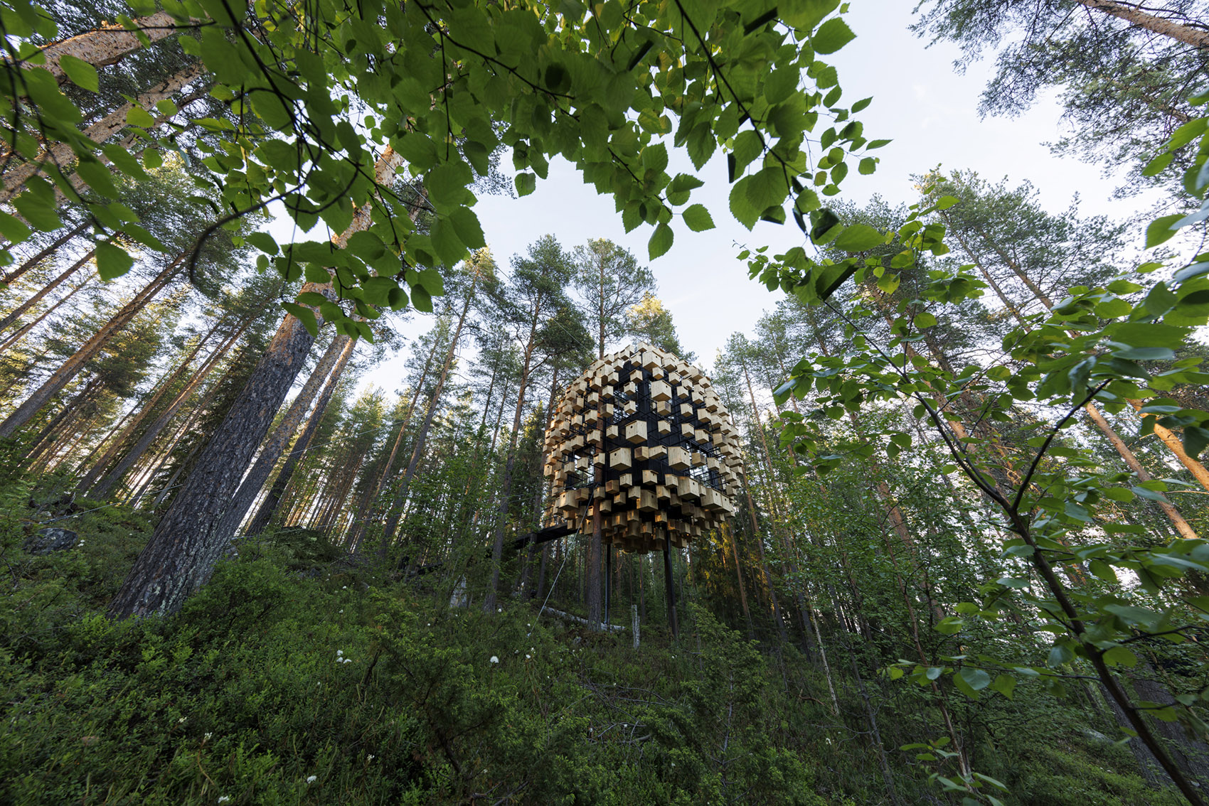 Biosphere at Treehotel, Sweden by BIG - 谷德设计网
