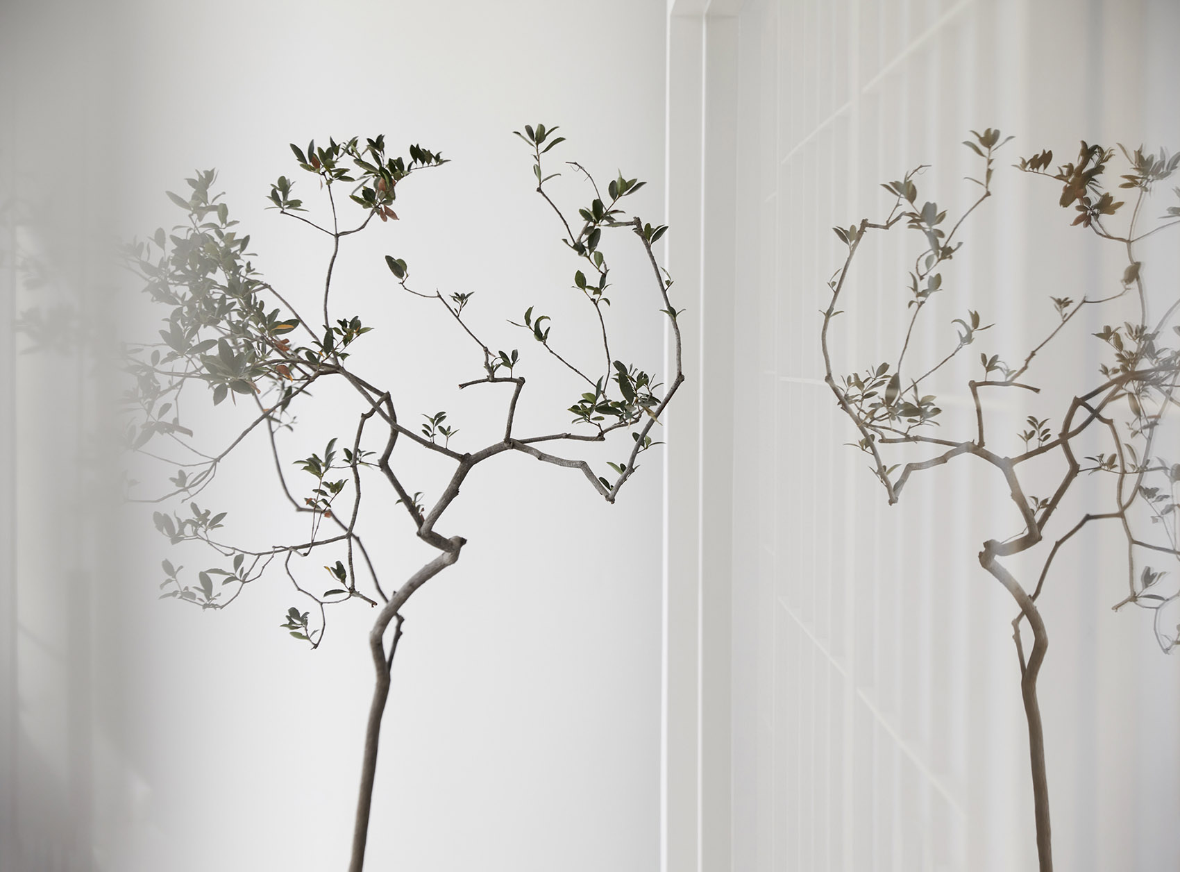 Line and form, Guiyang, China by SHIYI DESIGN - 谷德设计网