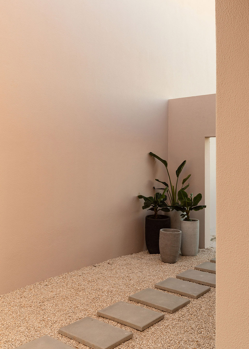 A Saramage by DC.AD - 谷德设计网