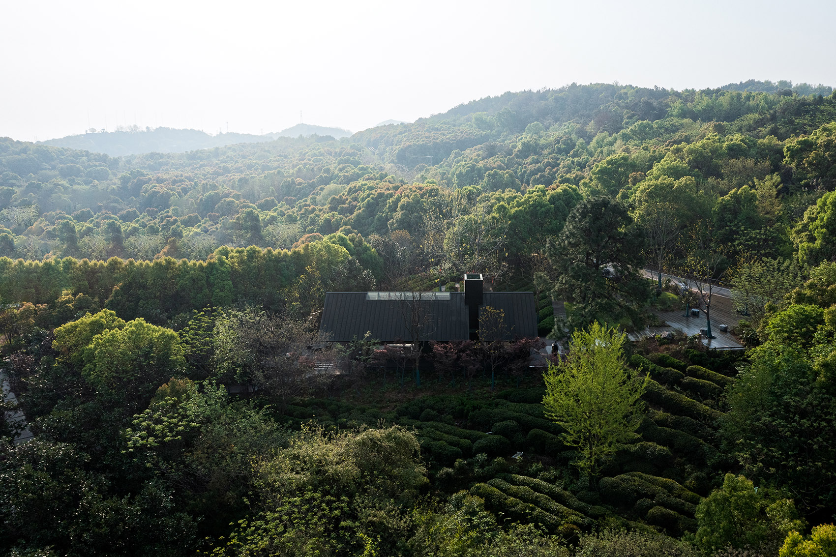 Forest tea house, China by MIX Architecture - 谷德设计网
