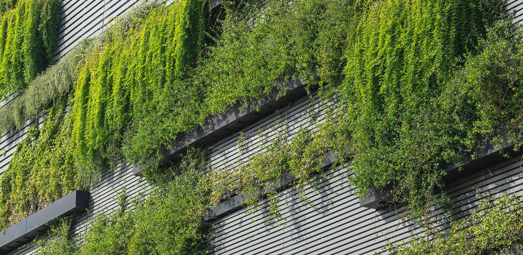 2021 ASLA RESIDENTIAL DESIGN AWARD OF EXCELLENCE: The Sky Garden at 70 ...