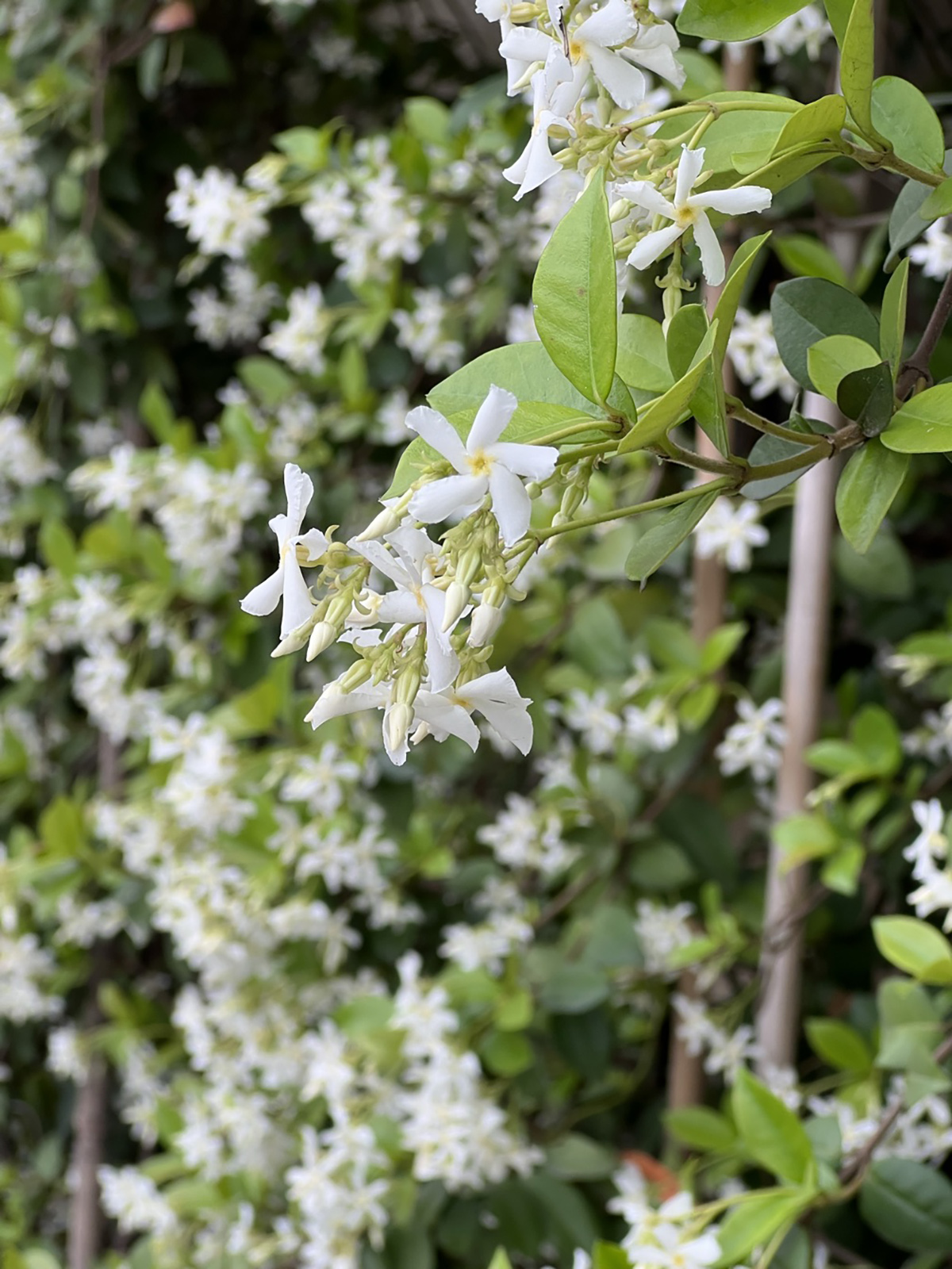 Chongqing Changbin – The section from Dongshuimen Bridge to Chuqimen ...