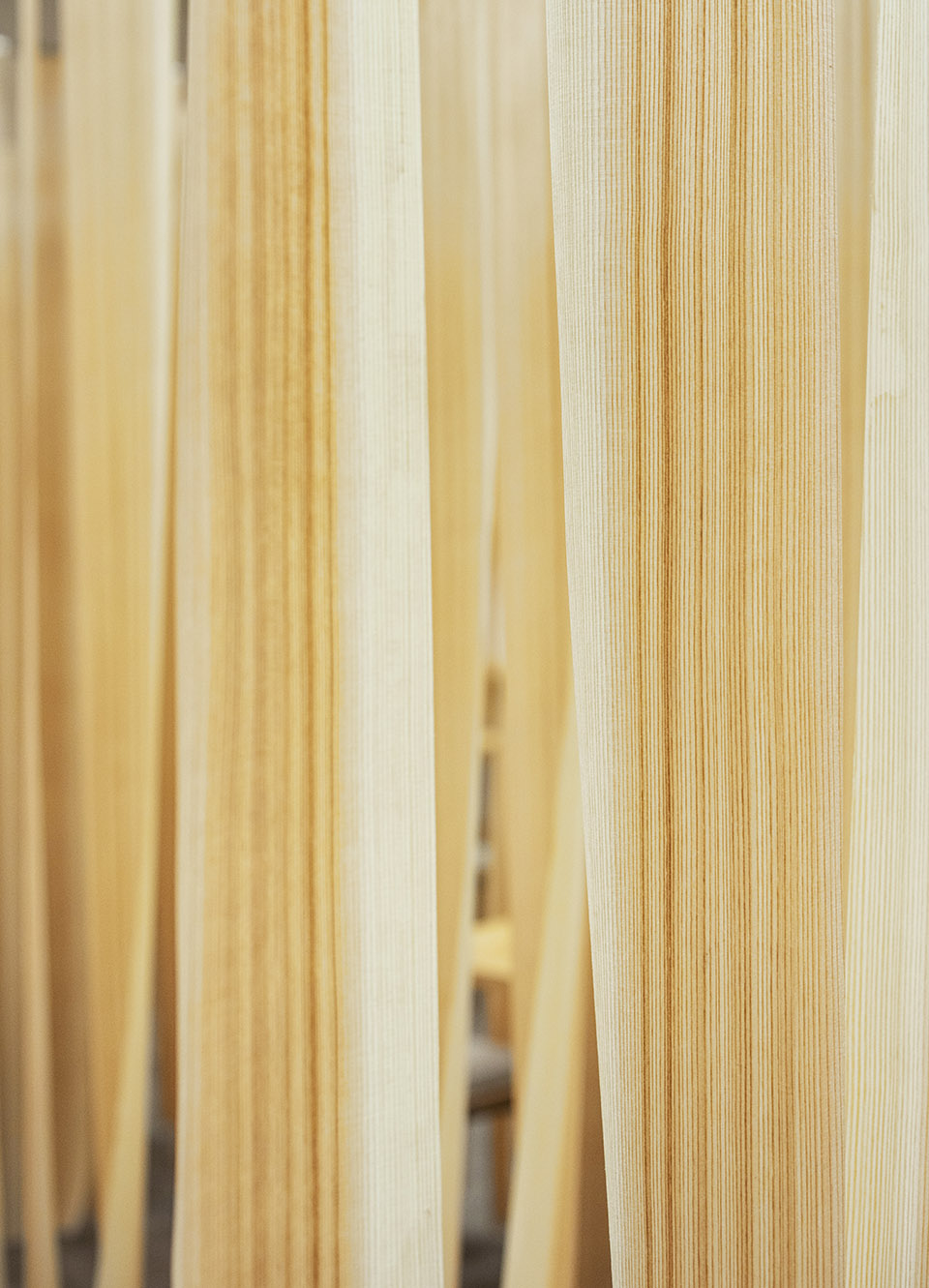 Mikan G by KAMITOPEN - 谷德设计网