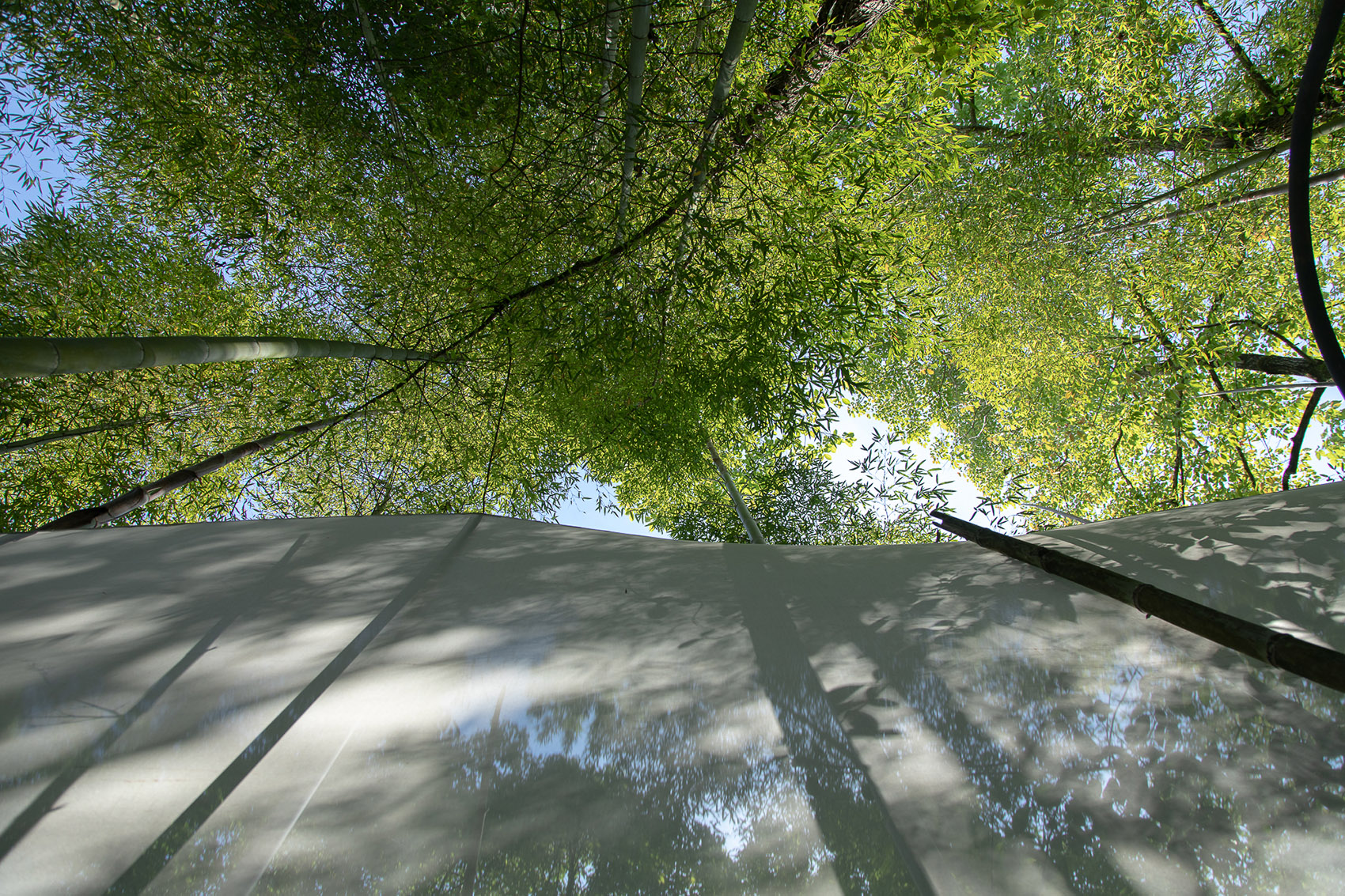 Spaceship Miracle, an immersive outdoor game scene in Chongqing by WTD ...