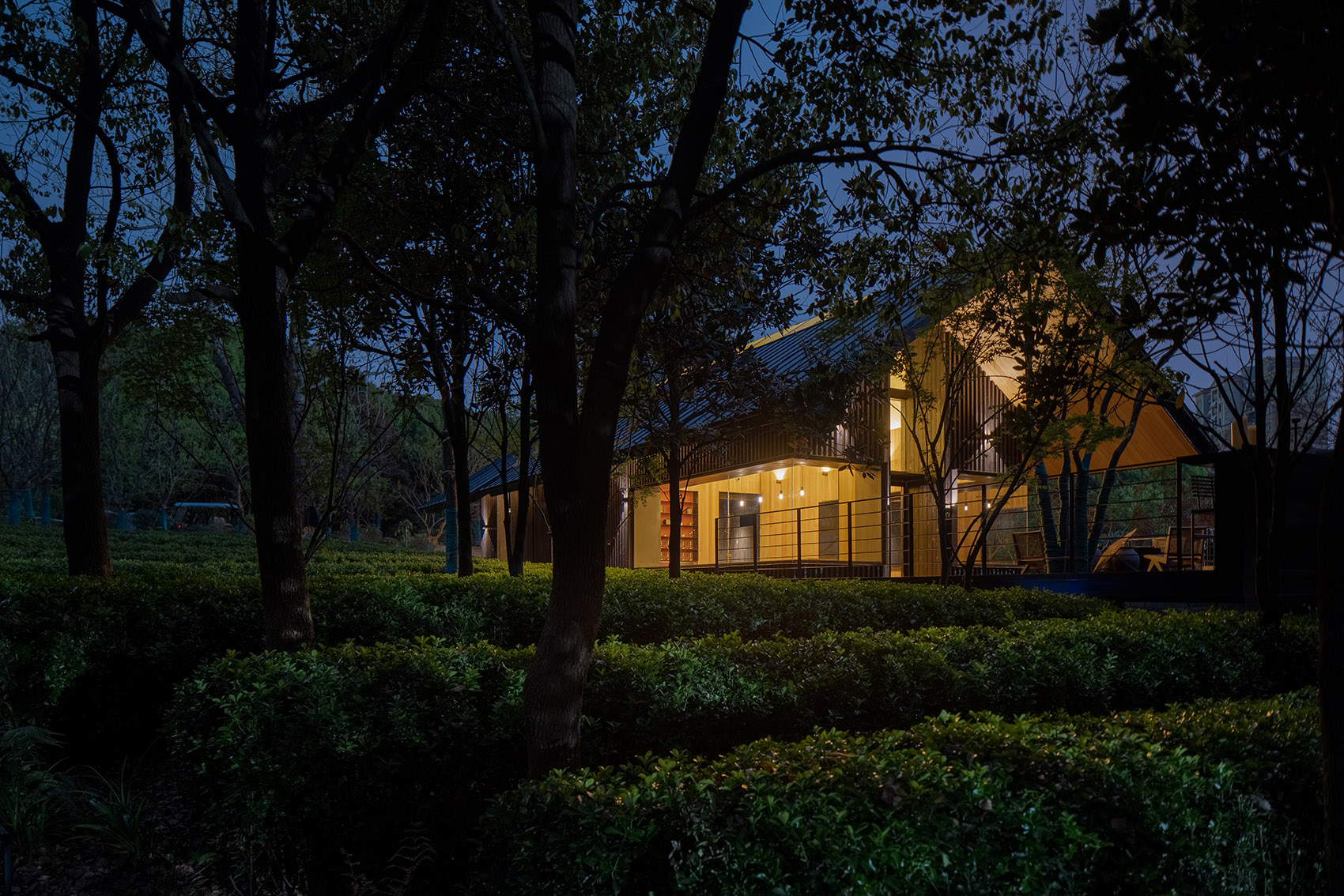 Forest tea house, China by MIX Architecture - 谷德设计网