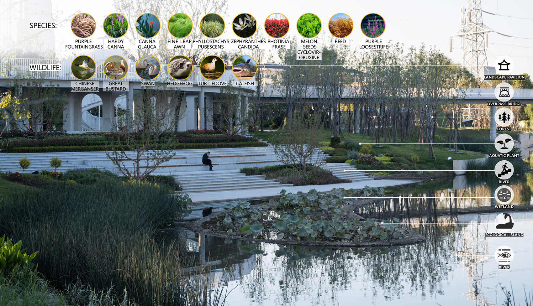 Zibo High-tech District Cultural & Sports Park, China by GVL Design ...