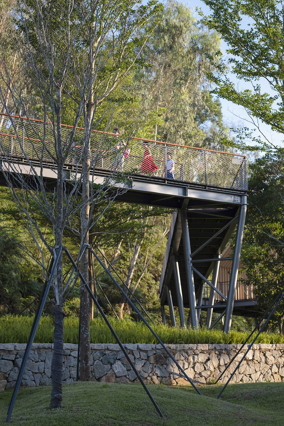 The Forest School, Shenzhen, China by WEi Studio - 谷德设计网