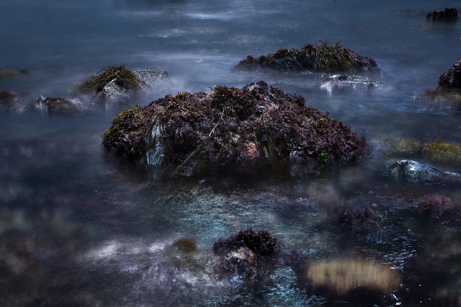 INSULA by Alexis Pichot - 谷德设计网