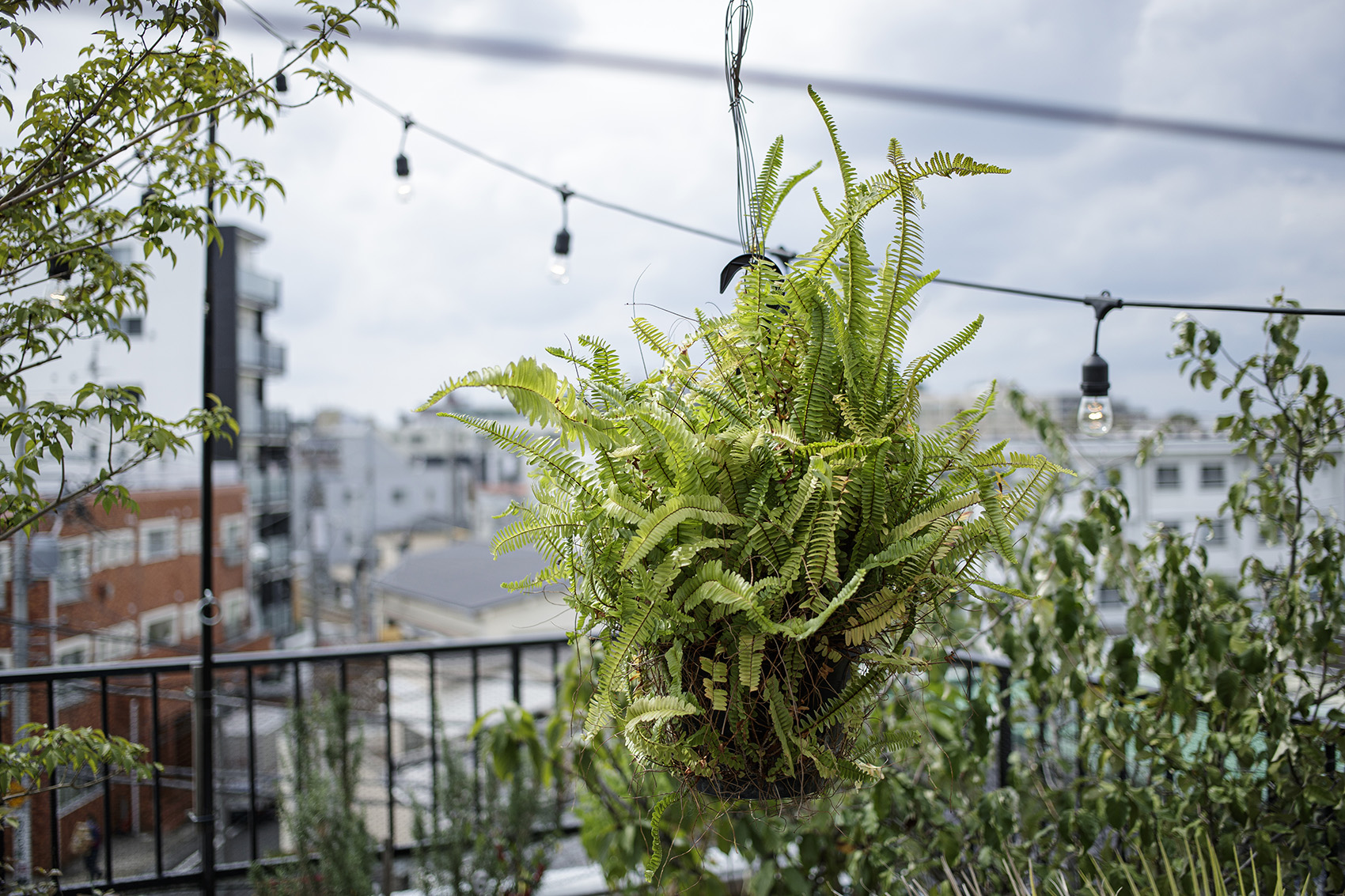 House on the way by ROOVICE - 谷德设计网