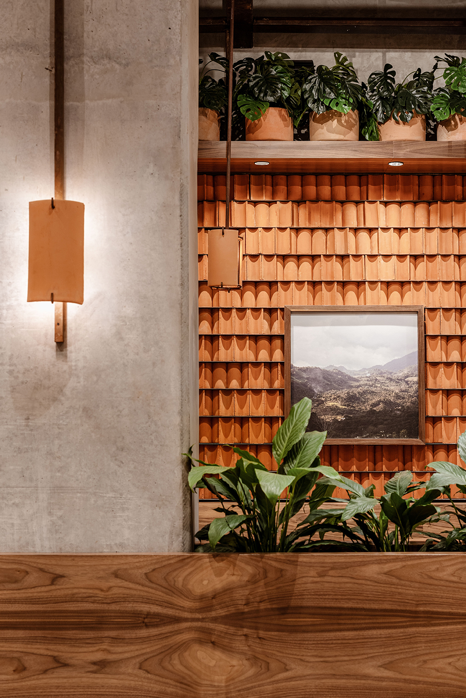 Kali Coffee by Concéntrico - 谷德设计网