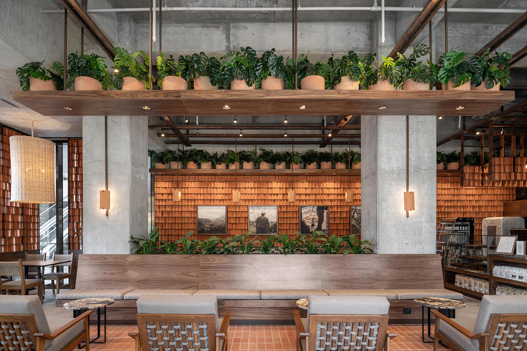 Kali Coffee by Concéntrico - 谷德设计网