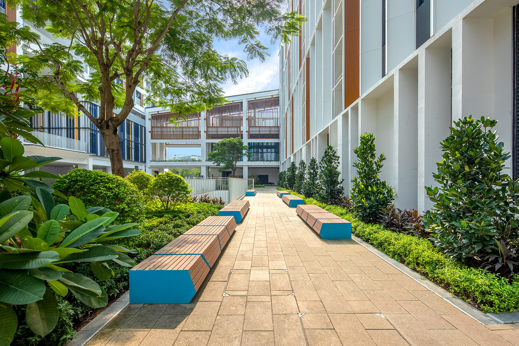 Shenzhen Experimental Guangming School by Shenzhen Tongjiren ...