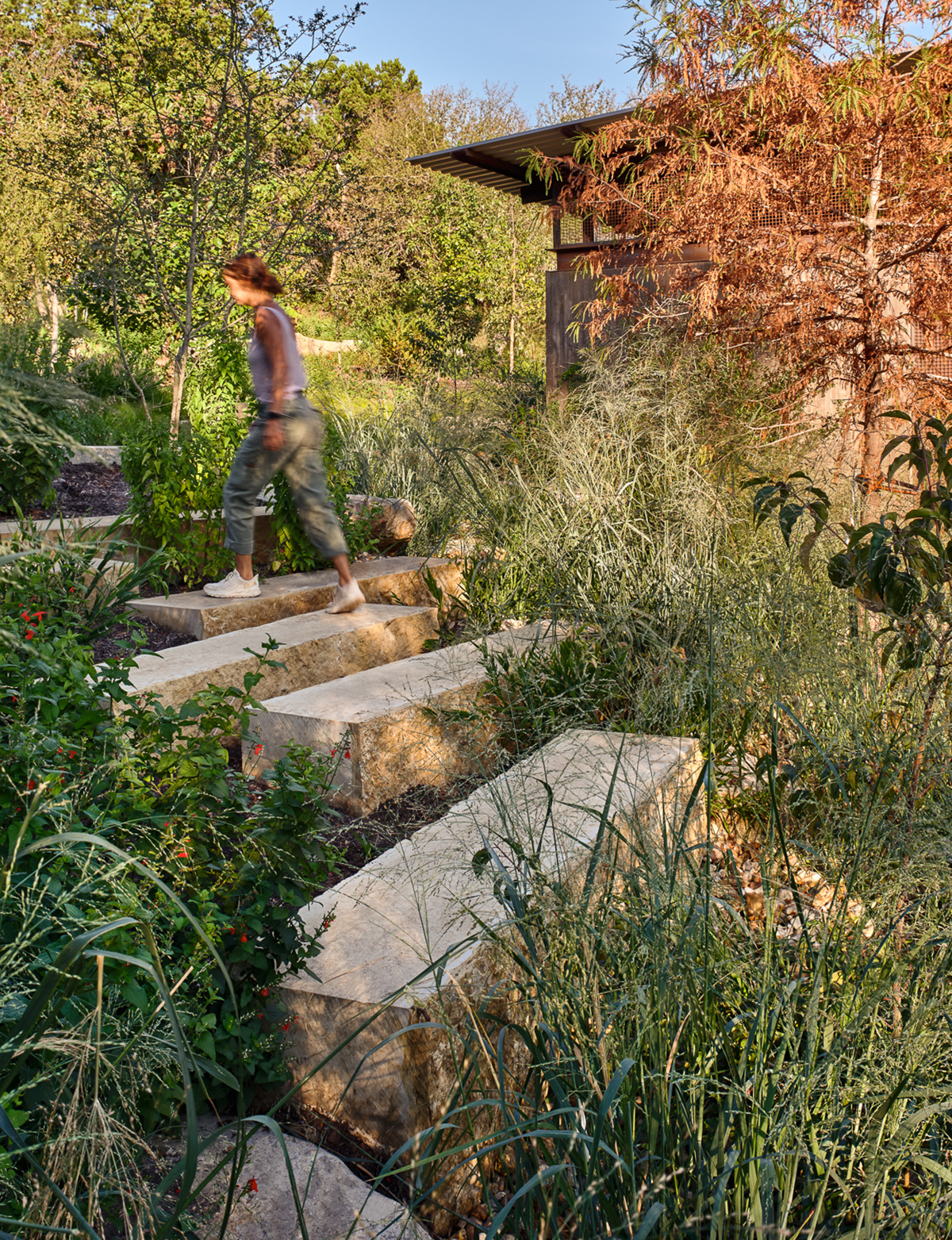 Kingsbury Commons at Pease Park by Ten Eyck Landscape Architects ...