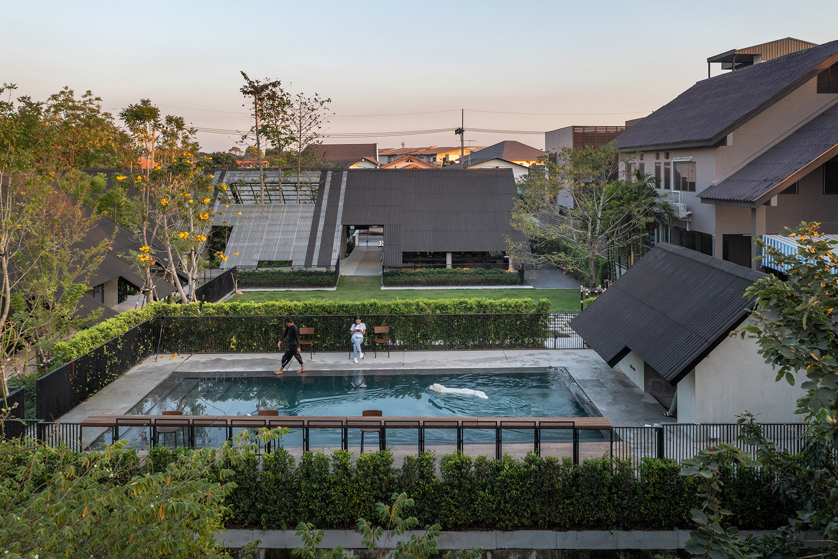 DOG / HUMAN by EKAR - 谷德设计网