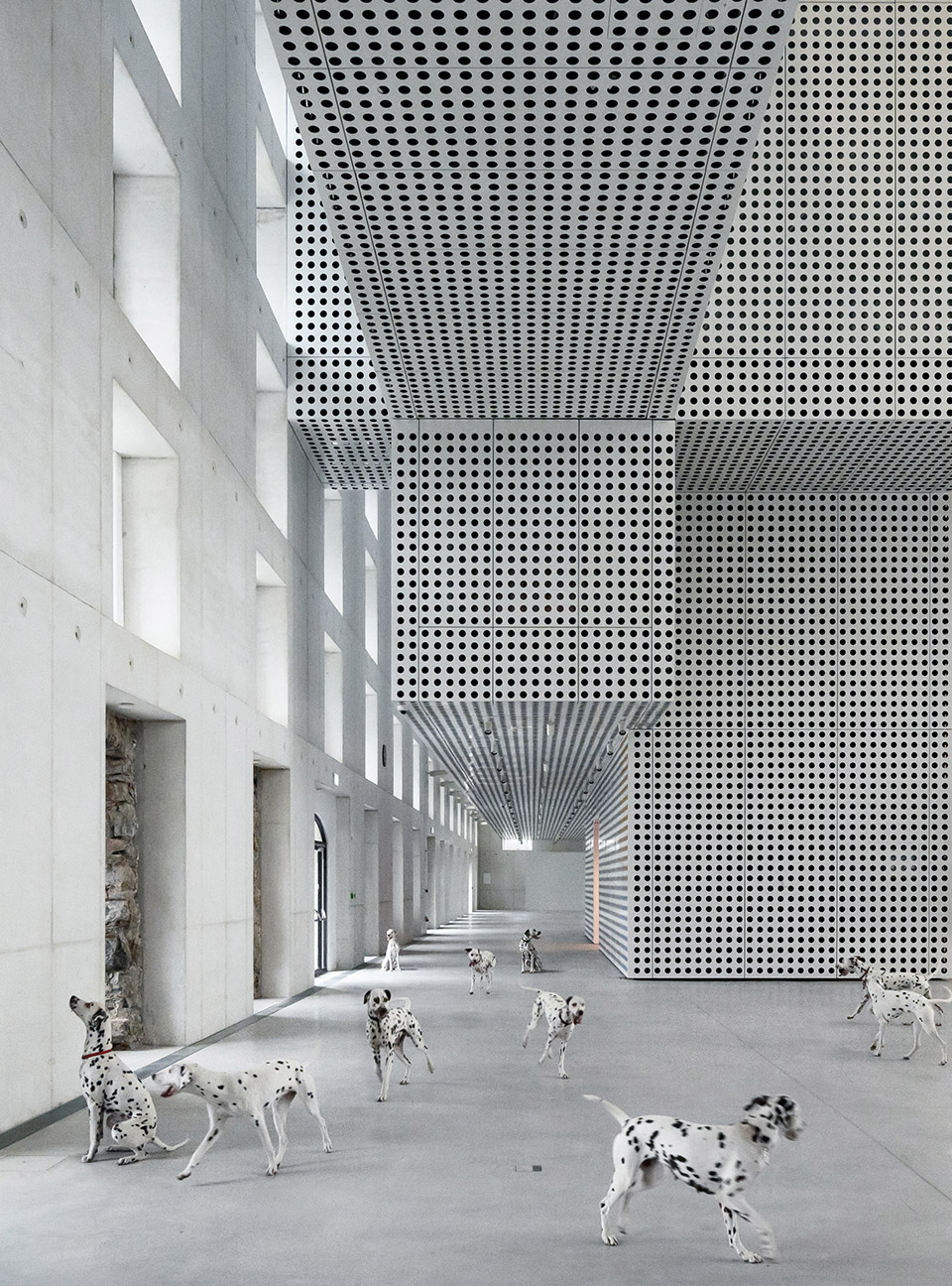Cukrarna Gallery, Slovenia by SCAPELAB - 谷德设计网