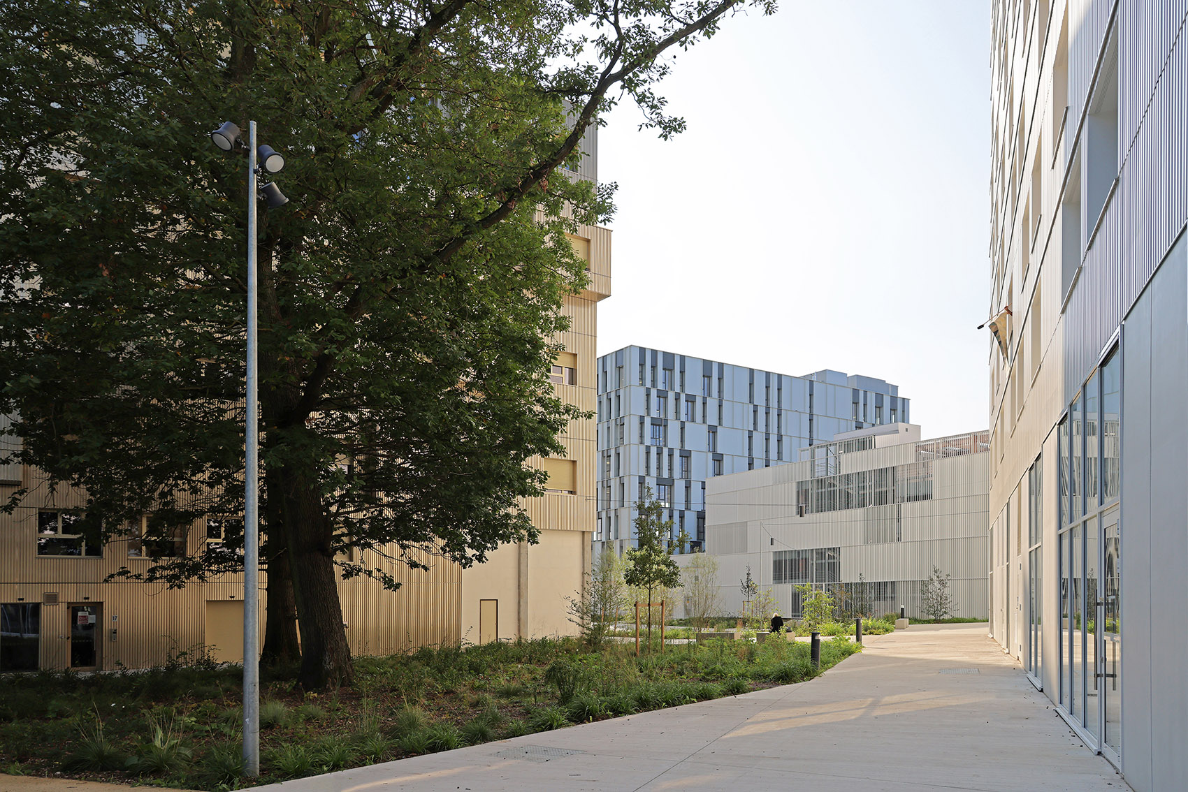 Treed It Car Park, France by Saison Menu Architectes Urbanistes - 谷德设计网