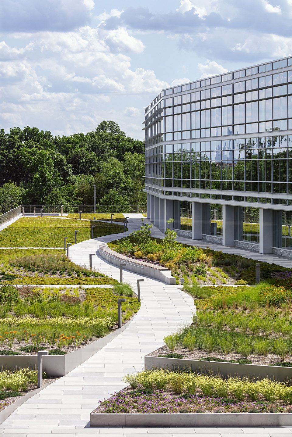 LG North American Headquarters, New Jersey by HOK - 谷德设计网