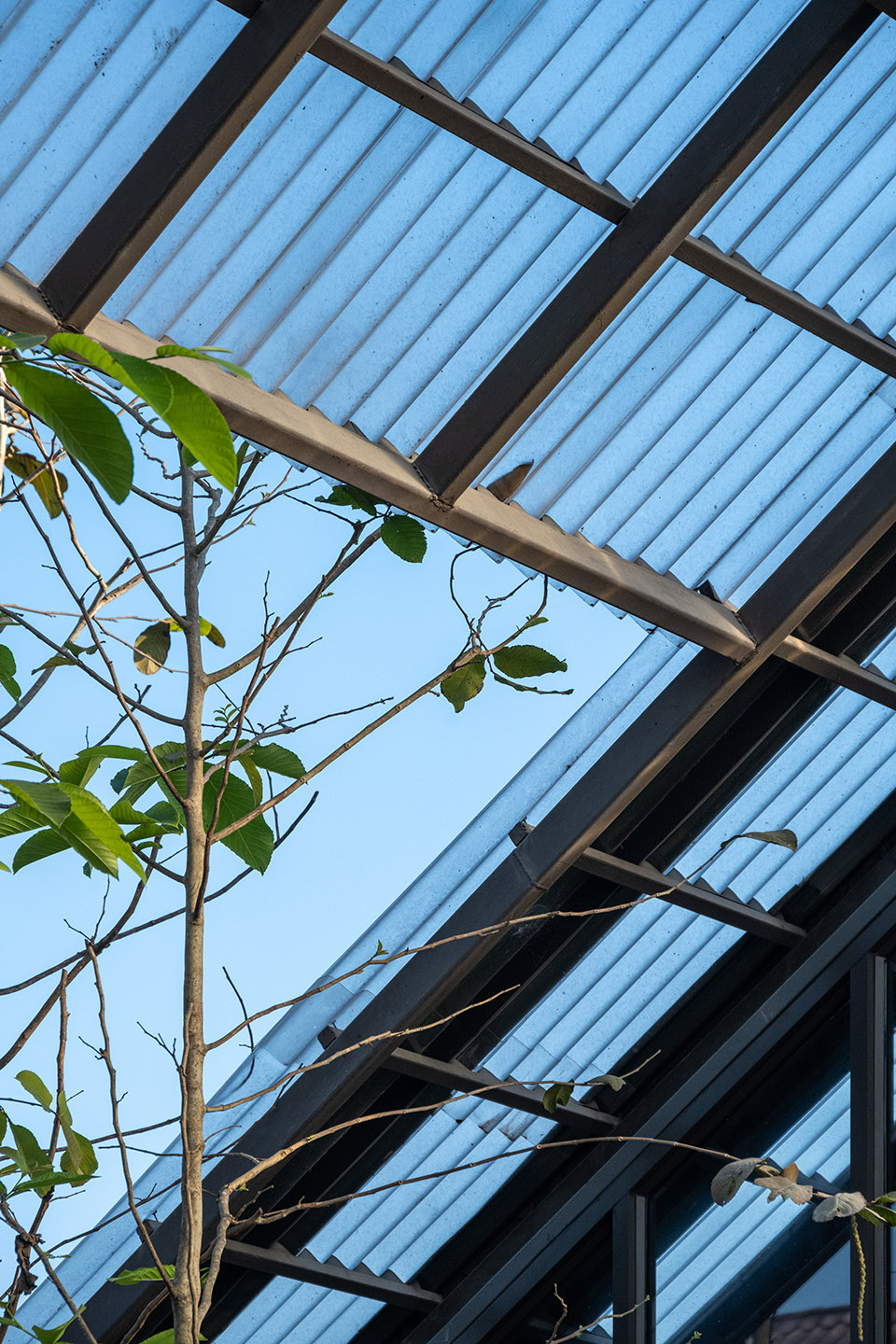 DOG / HUMAN by EKAR - 谷德设计网