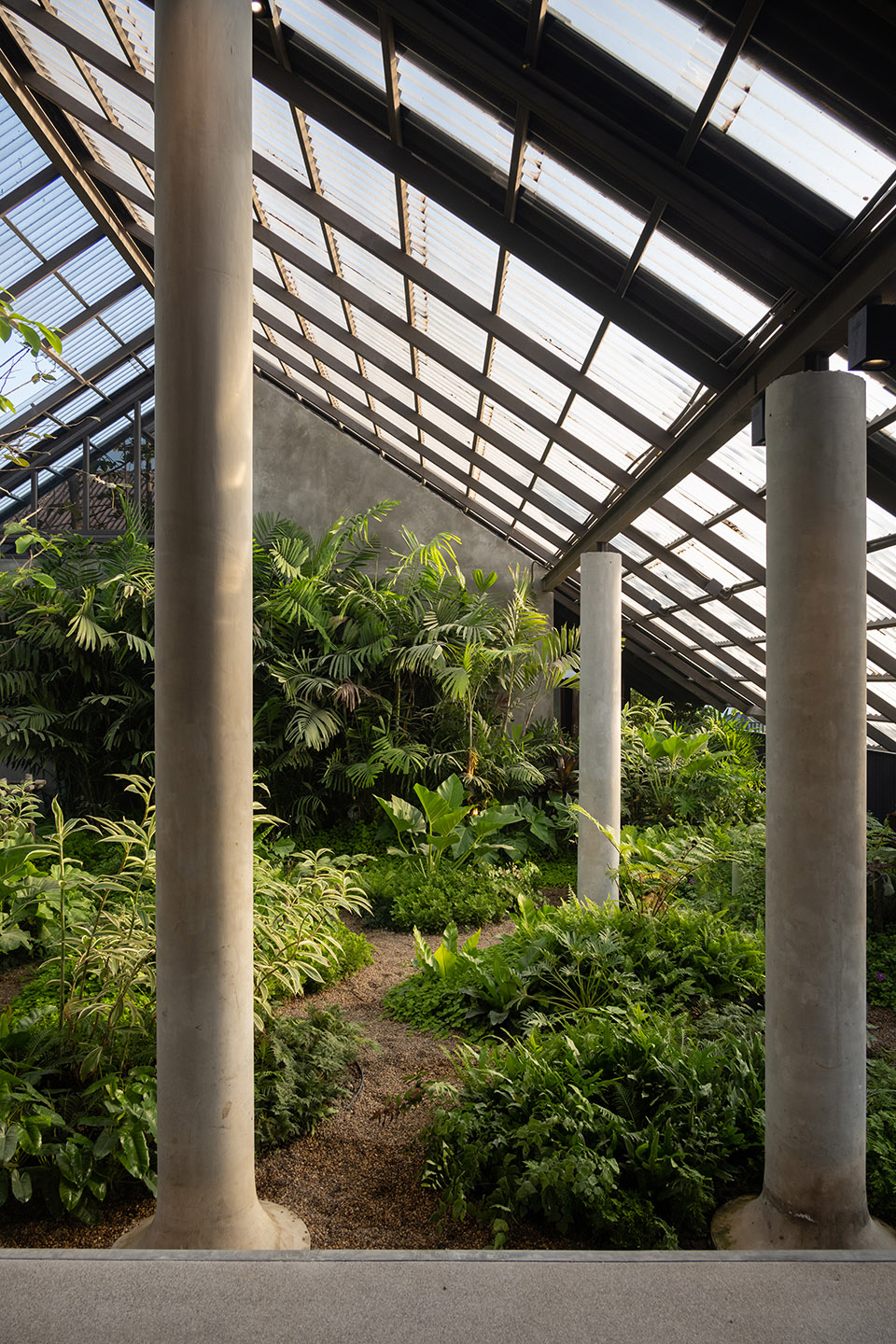 DOG / HUMAN by EKAR - 谷德设计网