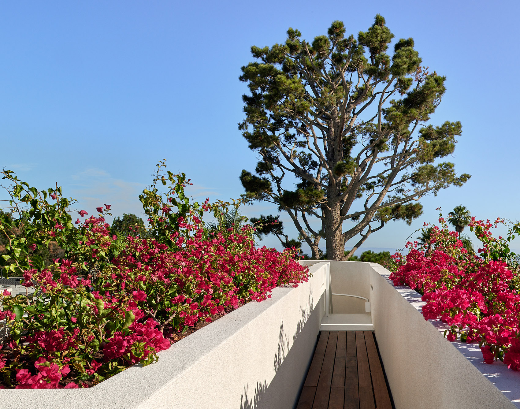 Arkell House by Miguel Angel and Rafael Aragonés/Taller Aragonés - 谷德设计网