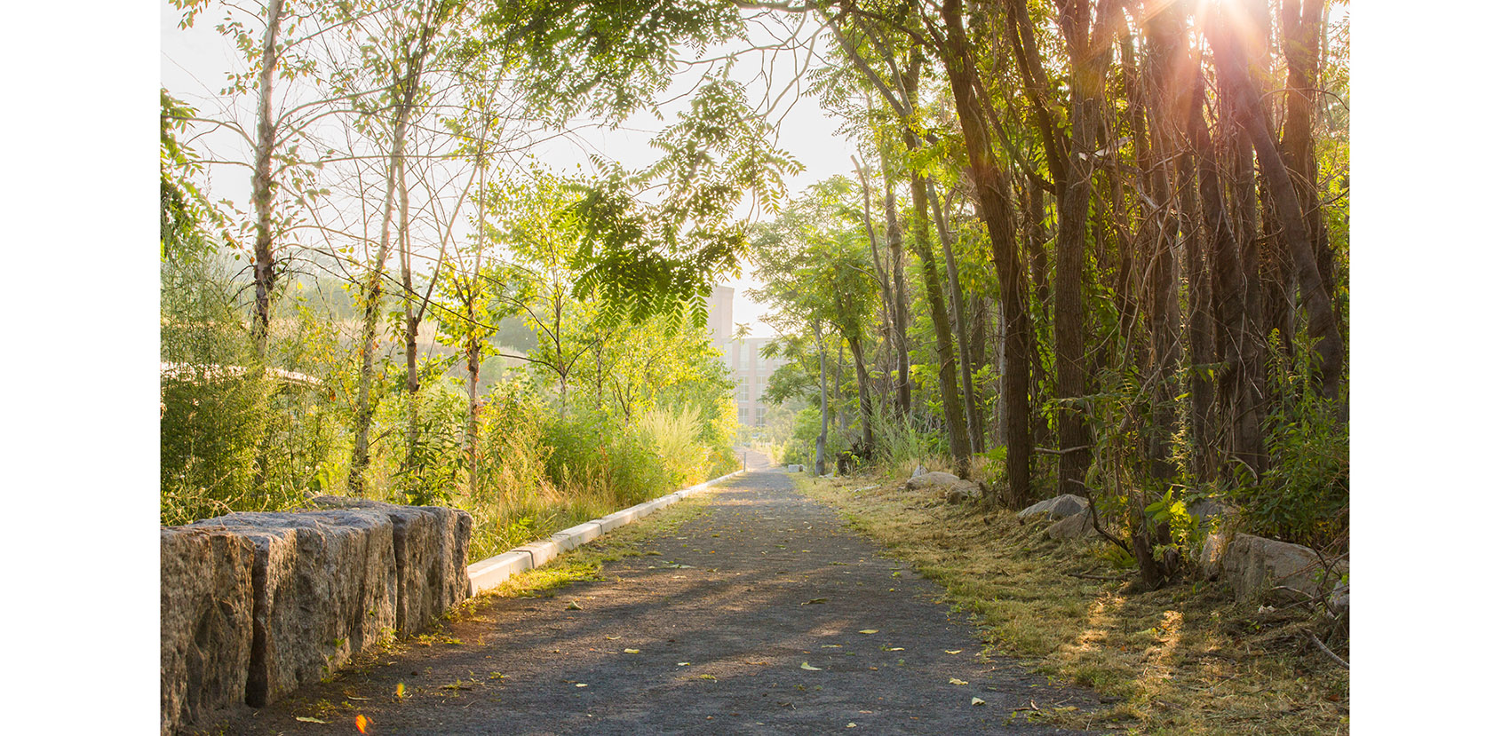 2021 ASLA GENERAL DESIGN AWARD OF HONOR: Ferrous Foundry Park / STIMSON ...