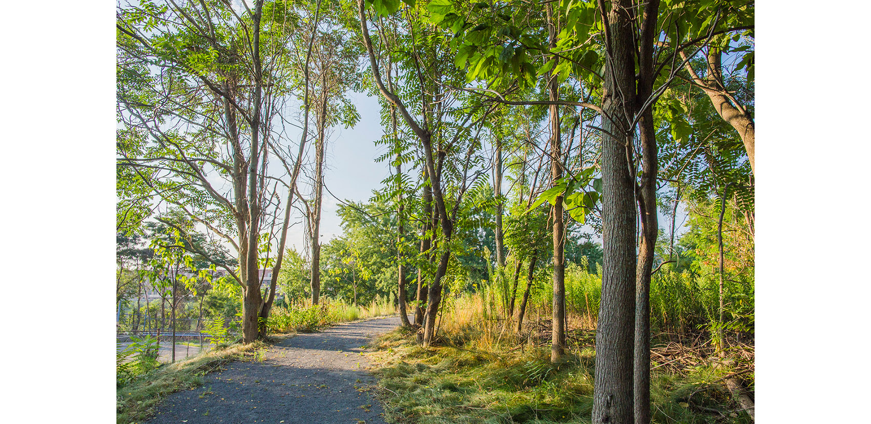 2021 ASLA GENERAL DESIGN AWARD OF HONOR: Ferrous Foundry Park / STIMSON ...