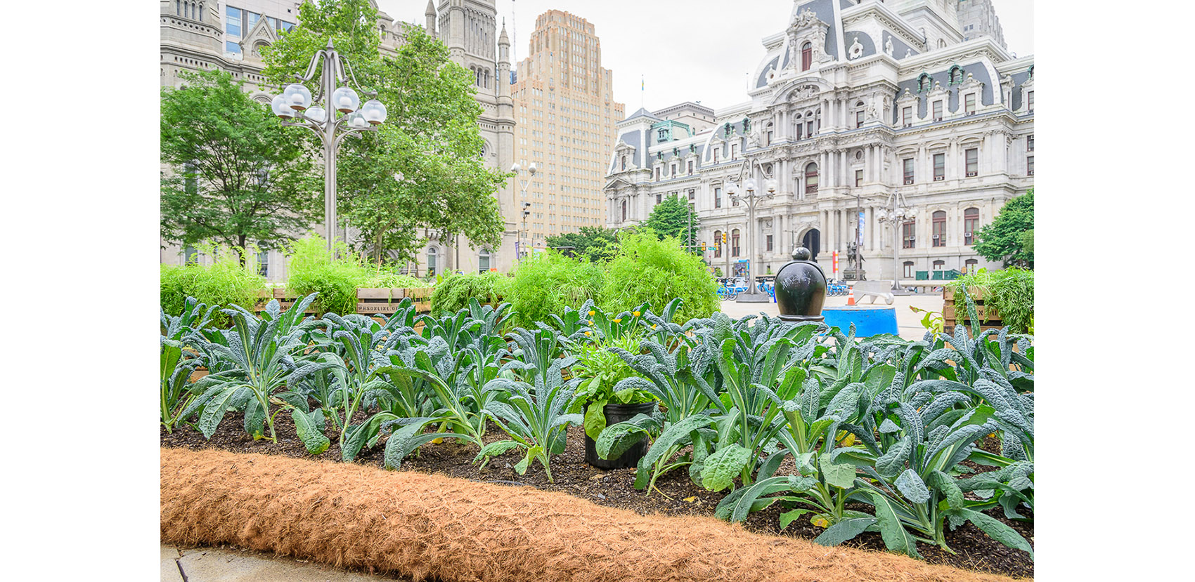 2021 ASLA URBAN DESIGN AWARD OF HONOR: Farm for the City / Viridian ...