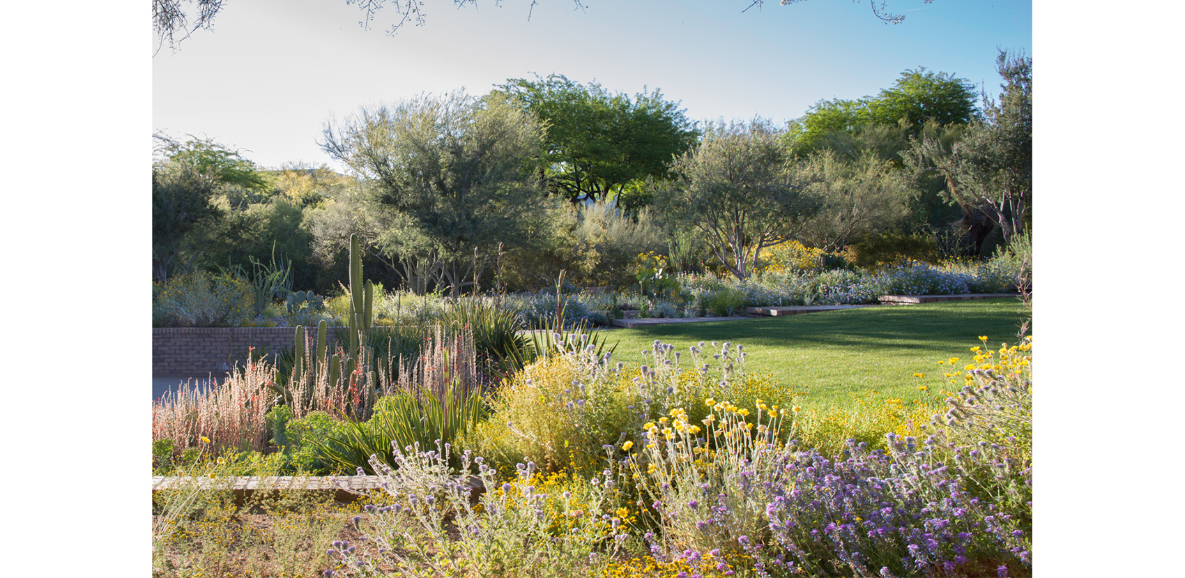 2021 ASLA RESIDENTIAL DESIGN AWARD OF HONOR: Ghost Wash / COLWELL ...