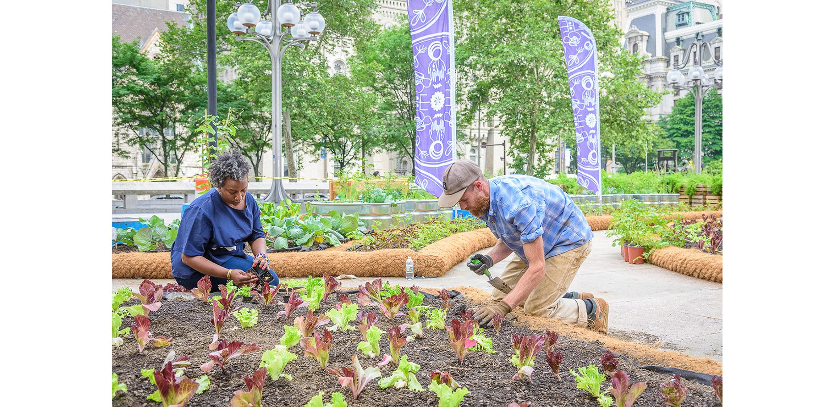 2021 ASLA URBAN DESIGN AWARD OF HONOR: Farm for the City / Viridian ...
