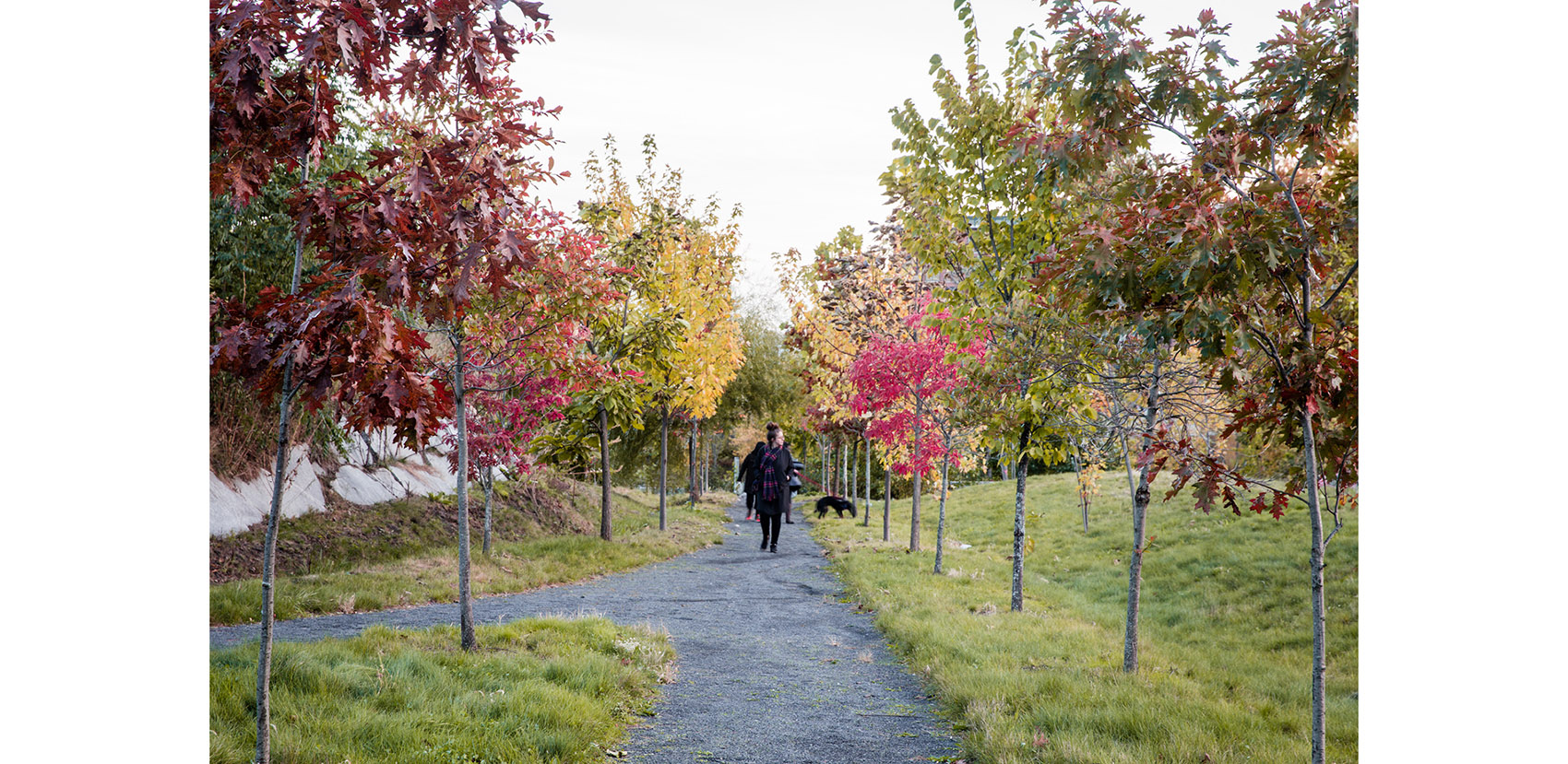 2021 ASLA GENERAL DESIGN AWARD OF HONOR: Ferrous Foundry Park / STIMSON ...