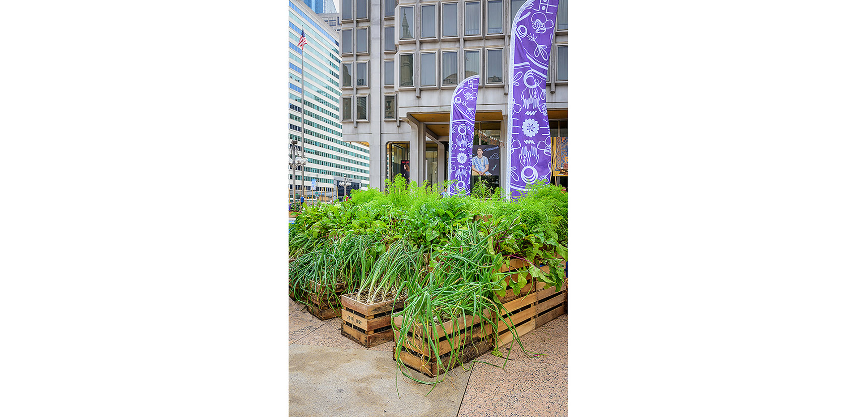 2021 ASLA URBAN DESIGN AWARD OF HONOR: Farm for the City / Viridian ...