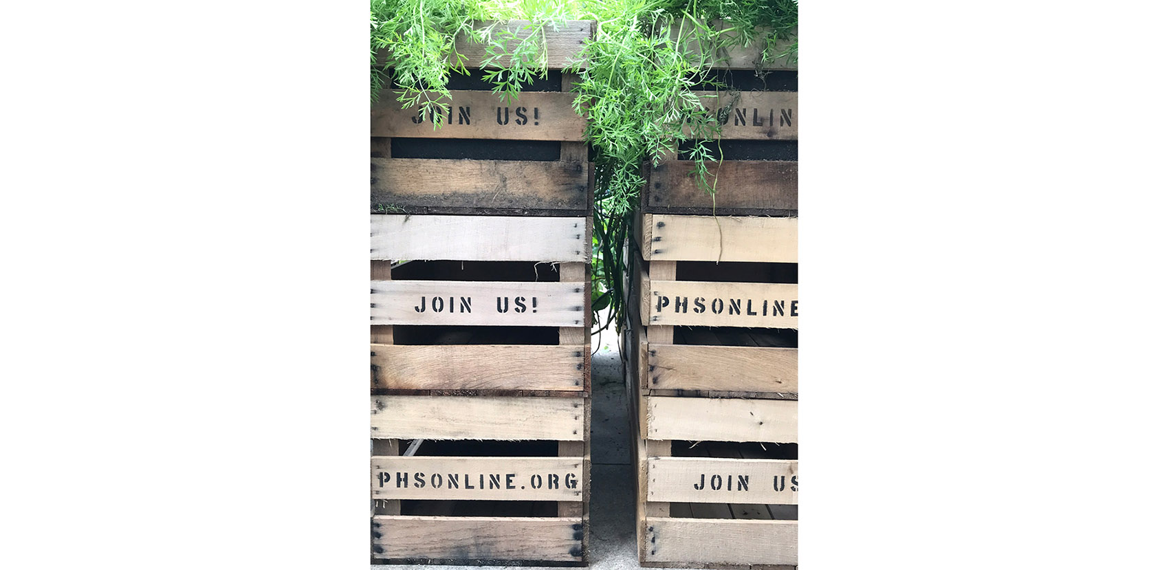 2021 ASLA URBAN DESIGN AWARD OF HONOR: Farm for the City / Viridian ...