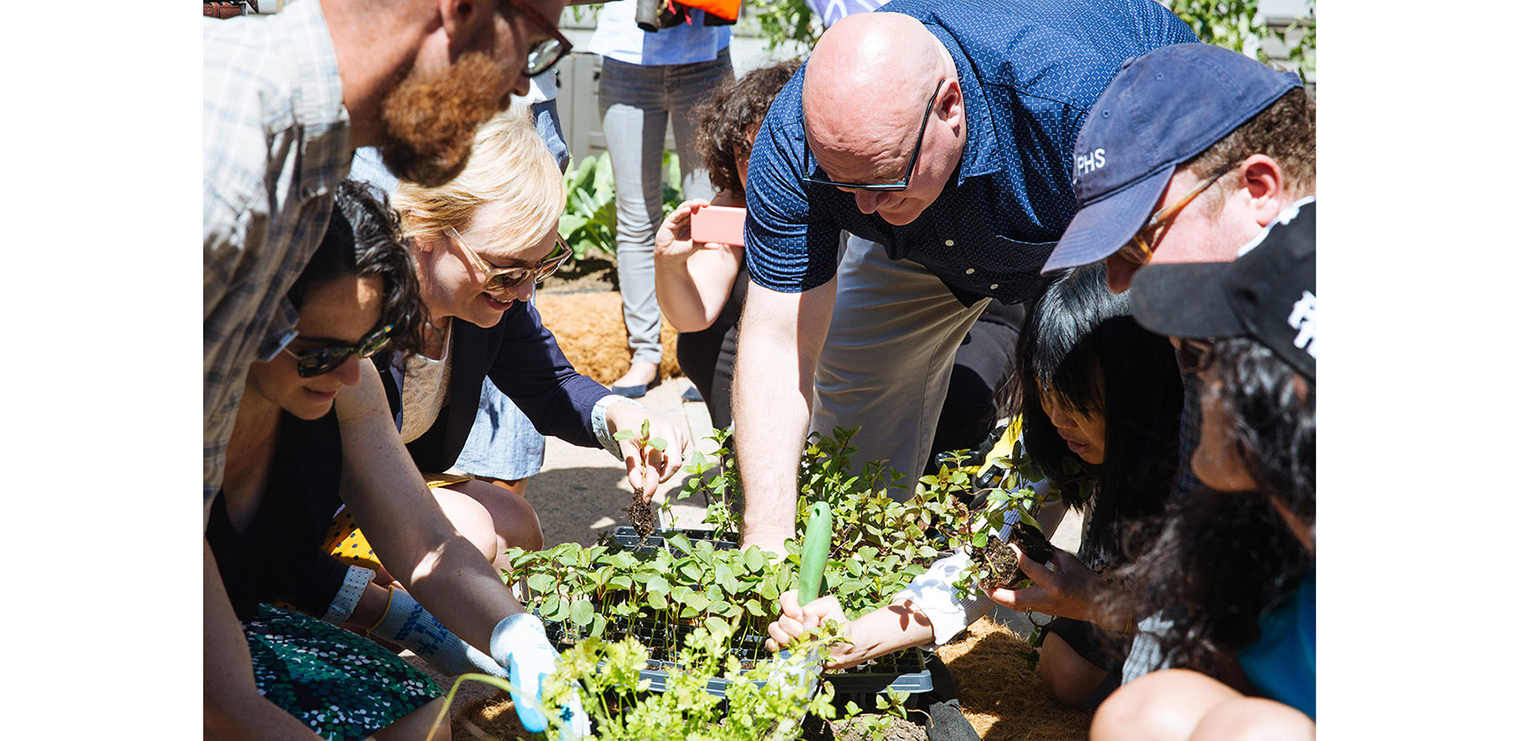 2021 ASLA URBAN DESIGN AWARD OF HONOR: Farm for the City / Viridian ...