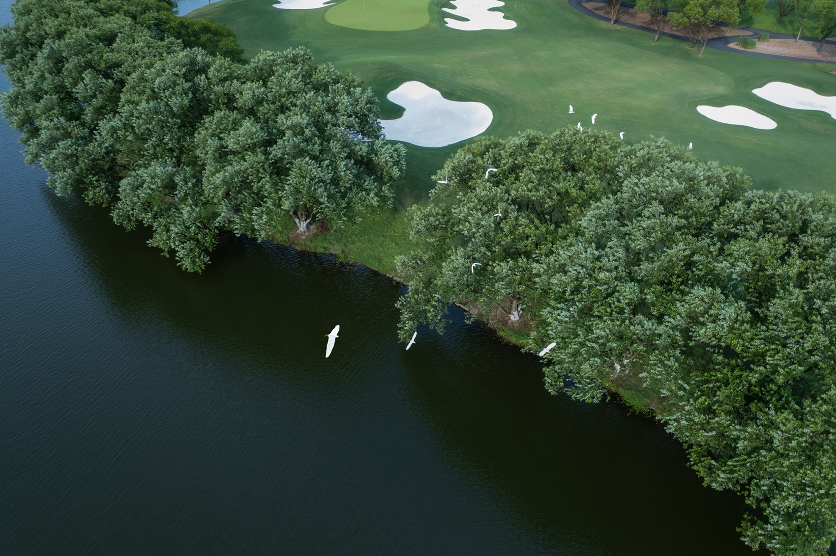 West Lake Golf landscape design by NCD Studio - 谷德设计网