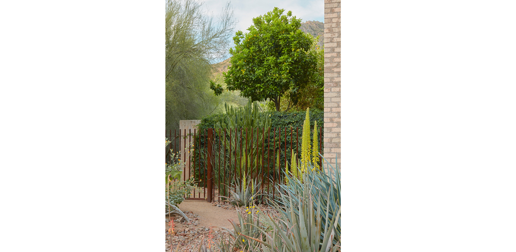 2021 ASLA RESIDENTIAL DESIGN AWARD OF HONOR: Ghost Wash / COLWELL ...